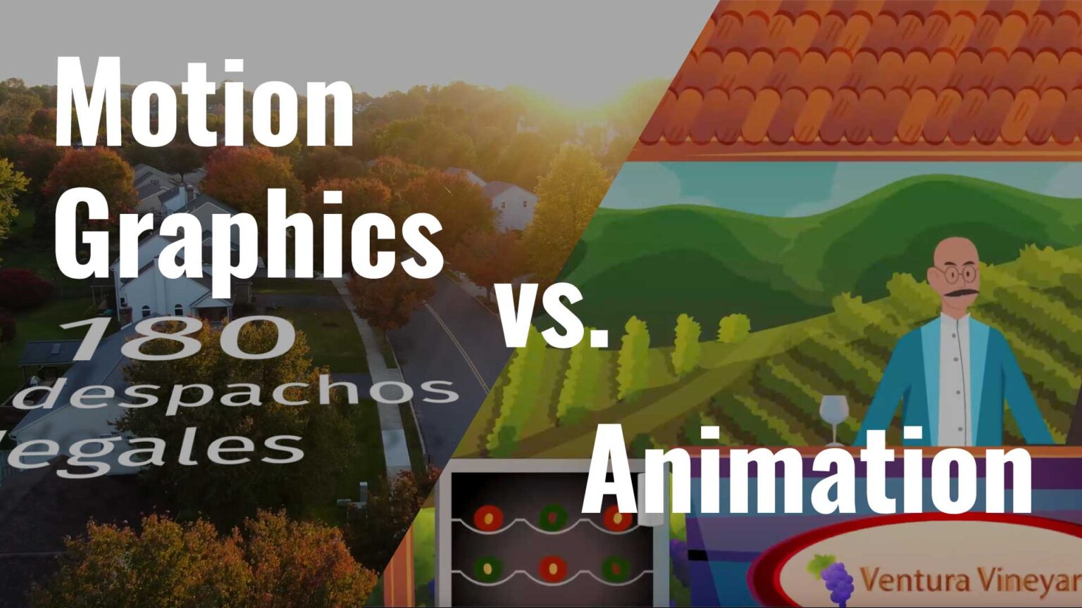 Motion Graphics vs. Animation: How Are They Different? | CK and CO